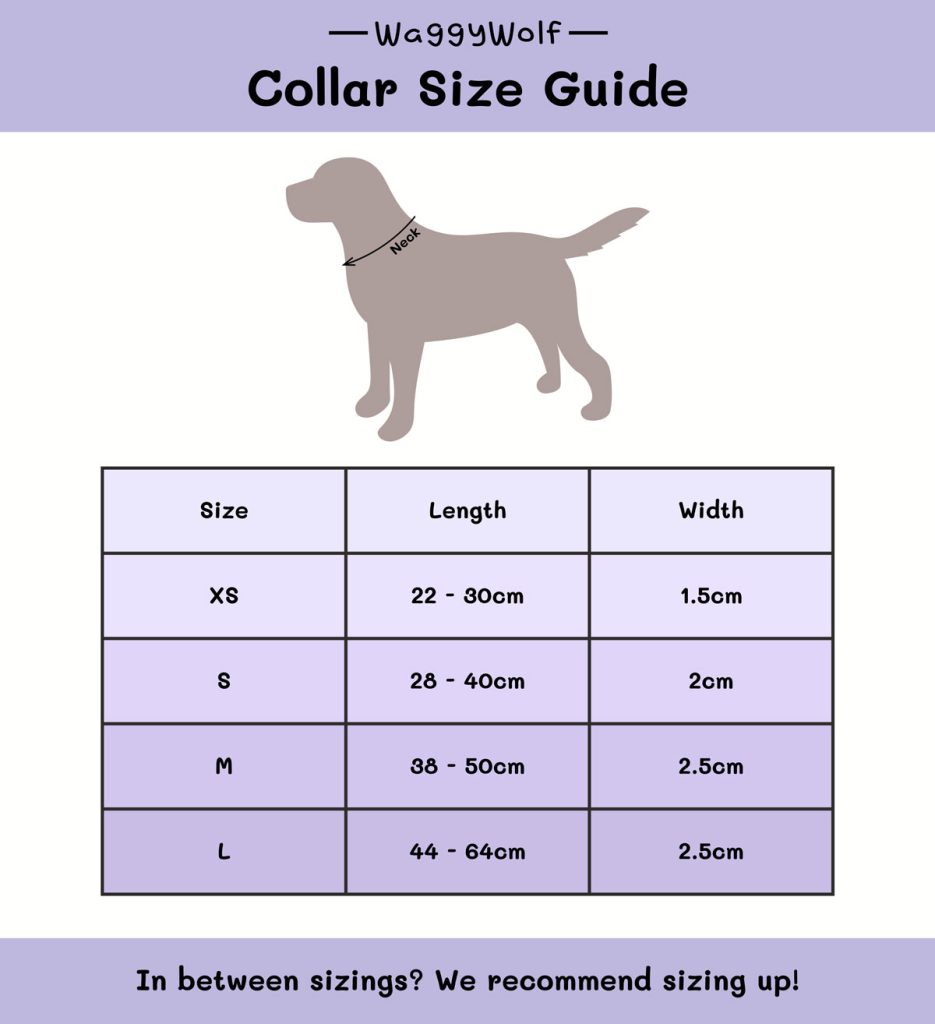 Sizing | WaggyWolf