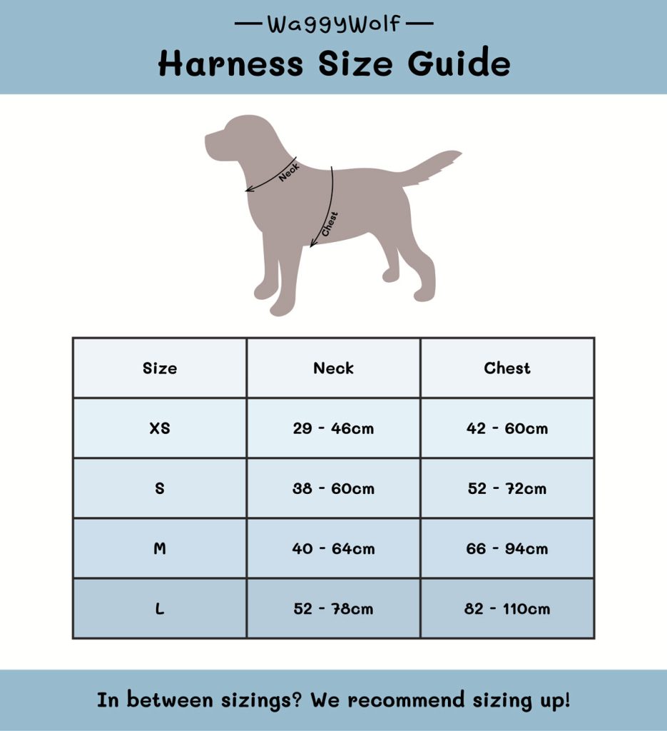 Sizing | WaggyWolf